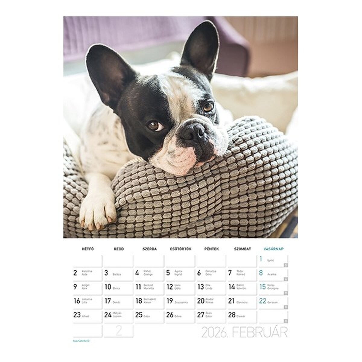 Falinaptár spirálozott LIZZY CARD B/4 álló Kutyák 2026.